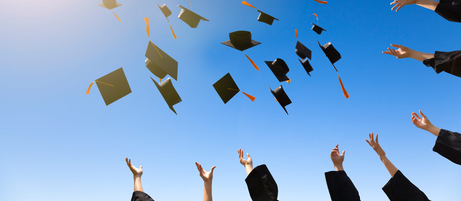 Orles FEPTS 2024: Grau en Ed. Primària (Dual, Bilingüe), Doble Grau ...